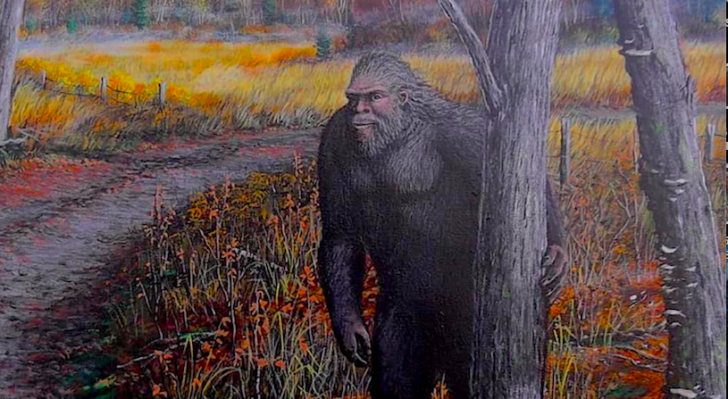 A New Book and a New Science Study Add to the Mystery Of Sasquatch ...