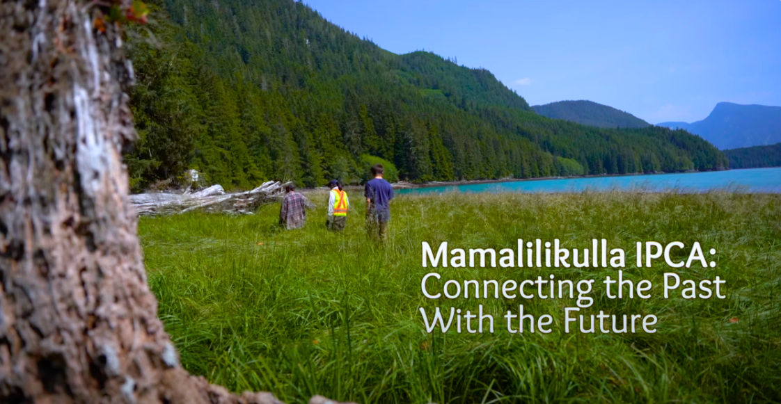 The Story Behind a Small Coastal First Nations Century-Long Journey to ...