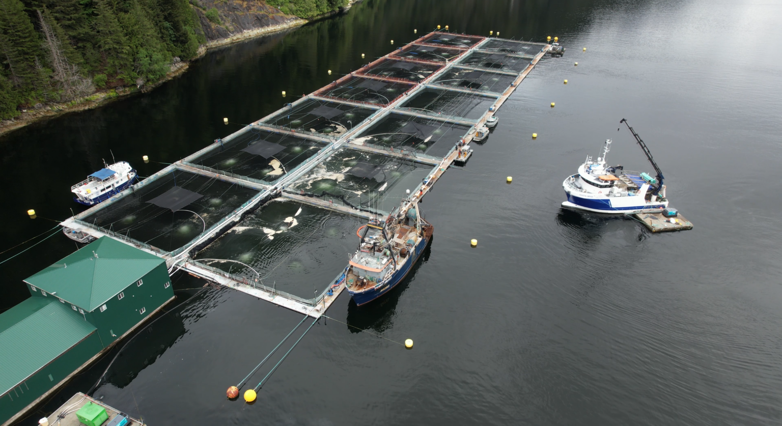 “Using Our Coastal Waterways as a Sewer”– Suspicious Discharge ...